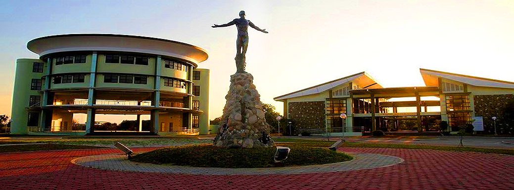 RESILIENT CAMPUS PLAN – UP PROFESSIONAL SCHOOLS CEBU SOUTH ROAD ...